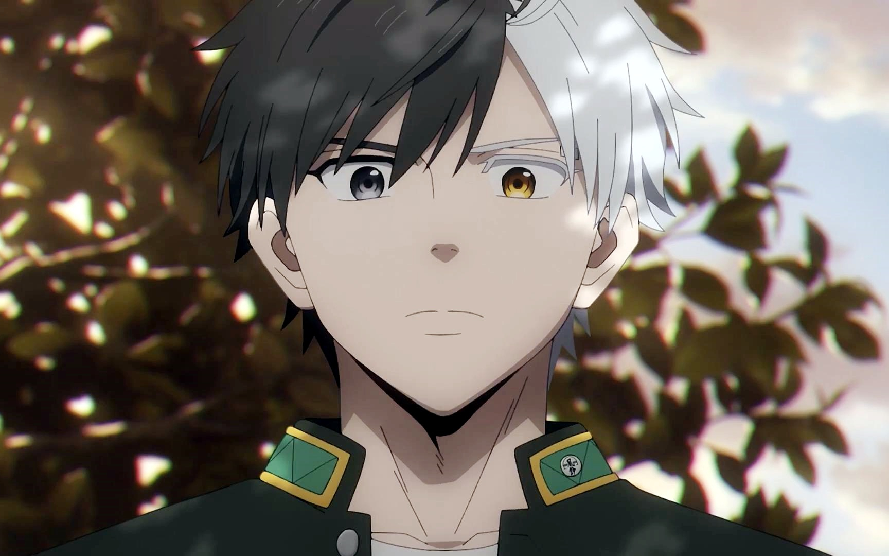 【动画化】拔作岛 1224特别PV【MCE汉化组】