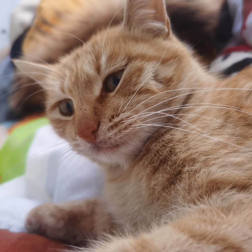 椎名レイ的个人空间 -AcFun弹幕视频网 - 认真你就输啦 (?ω?)ノ- ( ゜- ゜)つロ