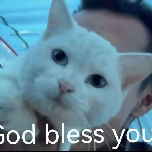 直播 - AcFun弹幕视频网 - 认真你就输啦 (・ω・)ノ- ( ゜- ゜)つロ