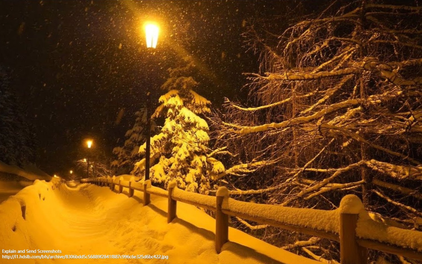 【MaimyNyan ASMR】COSASMR 与芙丽莲共度温馨之夜️ 牵着你的手直到你入睡